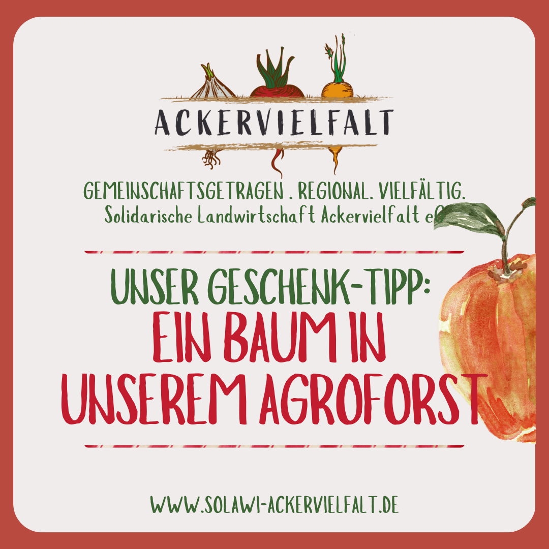 Der Solawi-Geschenk-Tipp: Ein Baum in unserem Agroforst-System! · Bio ...