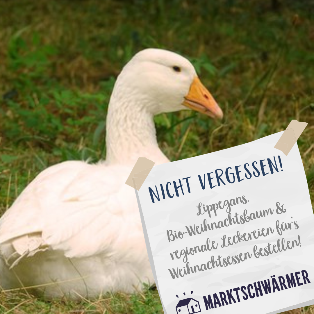 Jetzt in der Marktschwärmerei: Lippegänse zum Fest. · Bio Hof Brinkmann ...