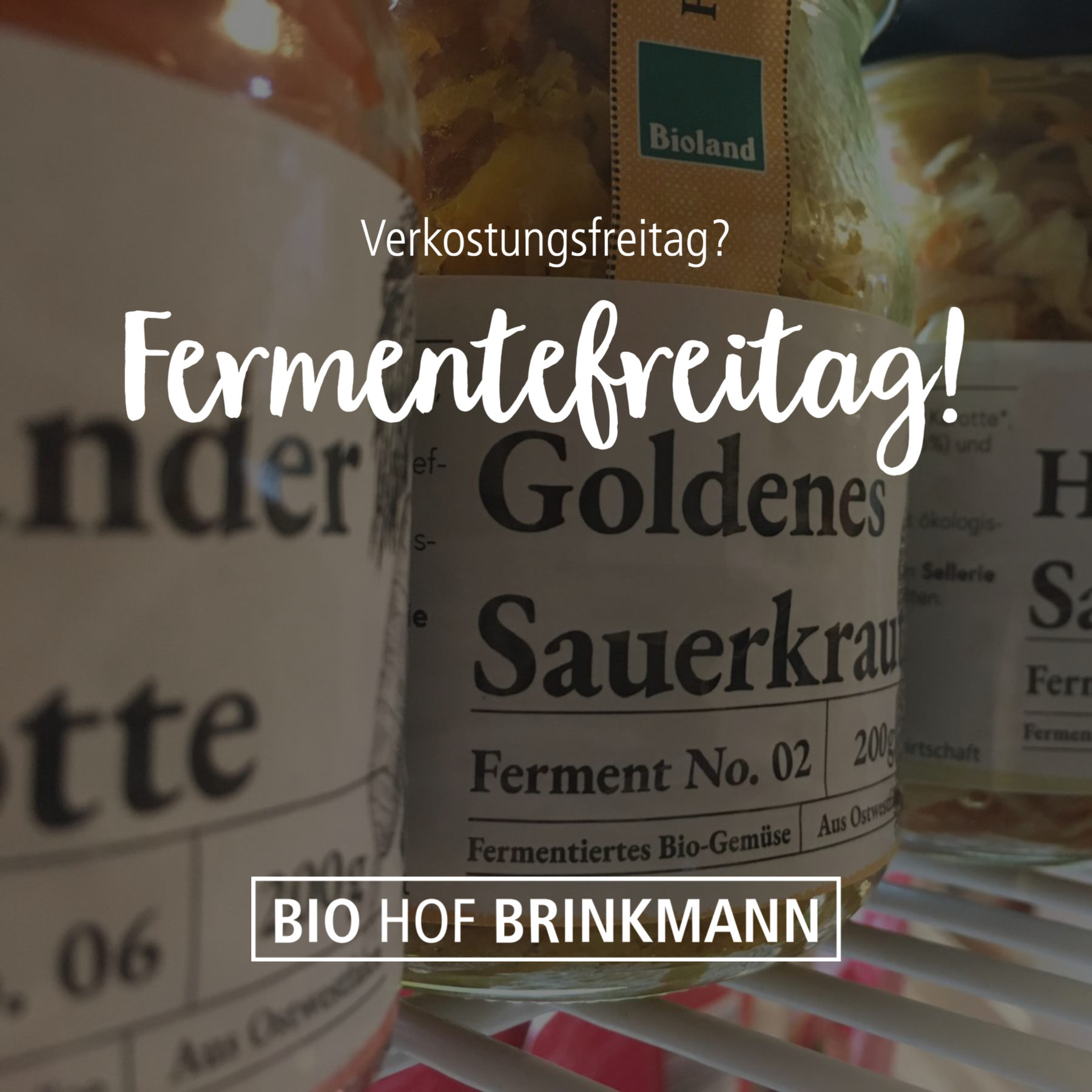 Probierfreitag 24.2.2023 = Fermente-Freitag! · Bio Hof Brinkmann - ein ...