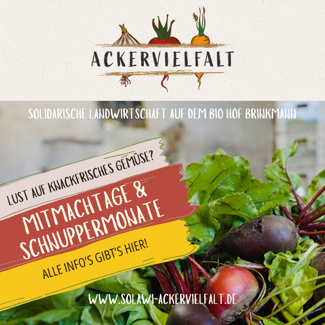 Solawi-Mitmachtage & Schnuppermonate. · Bio Hof Brinkmann - ein ...